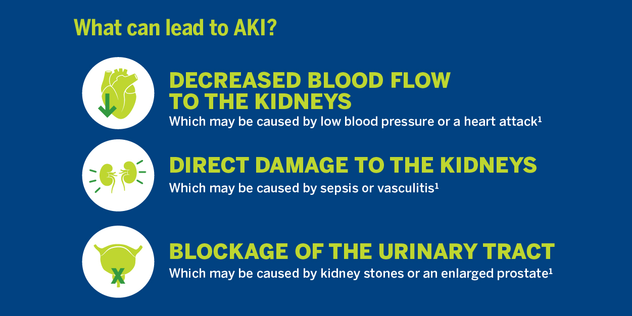 What is Acute Kidney Injury and Why Does it Matter? - bioMérieux Connection